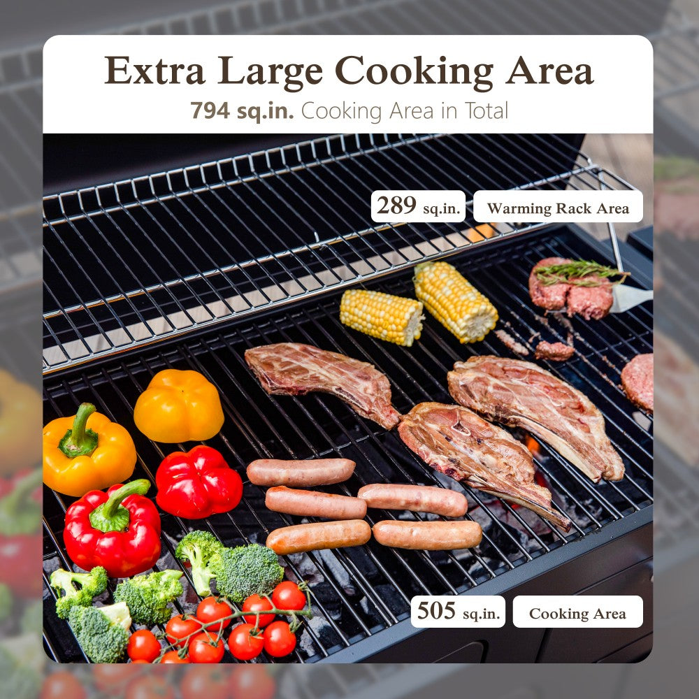 Classic Charcoal BBQ Grill with Liftable Enamel Trays-Captiva Designs ...