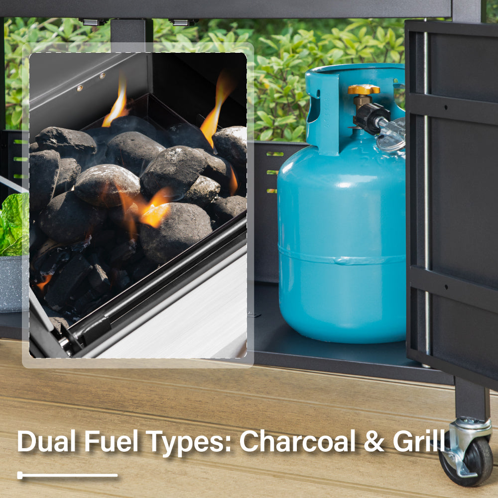 Propane & Charcoal BBQ Grill Combo for Backyard-Captiva Designs ...